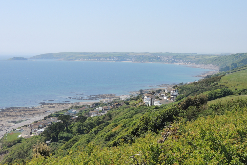 Folk2Folk hires first CMO to drive national expansion - Alternative ...