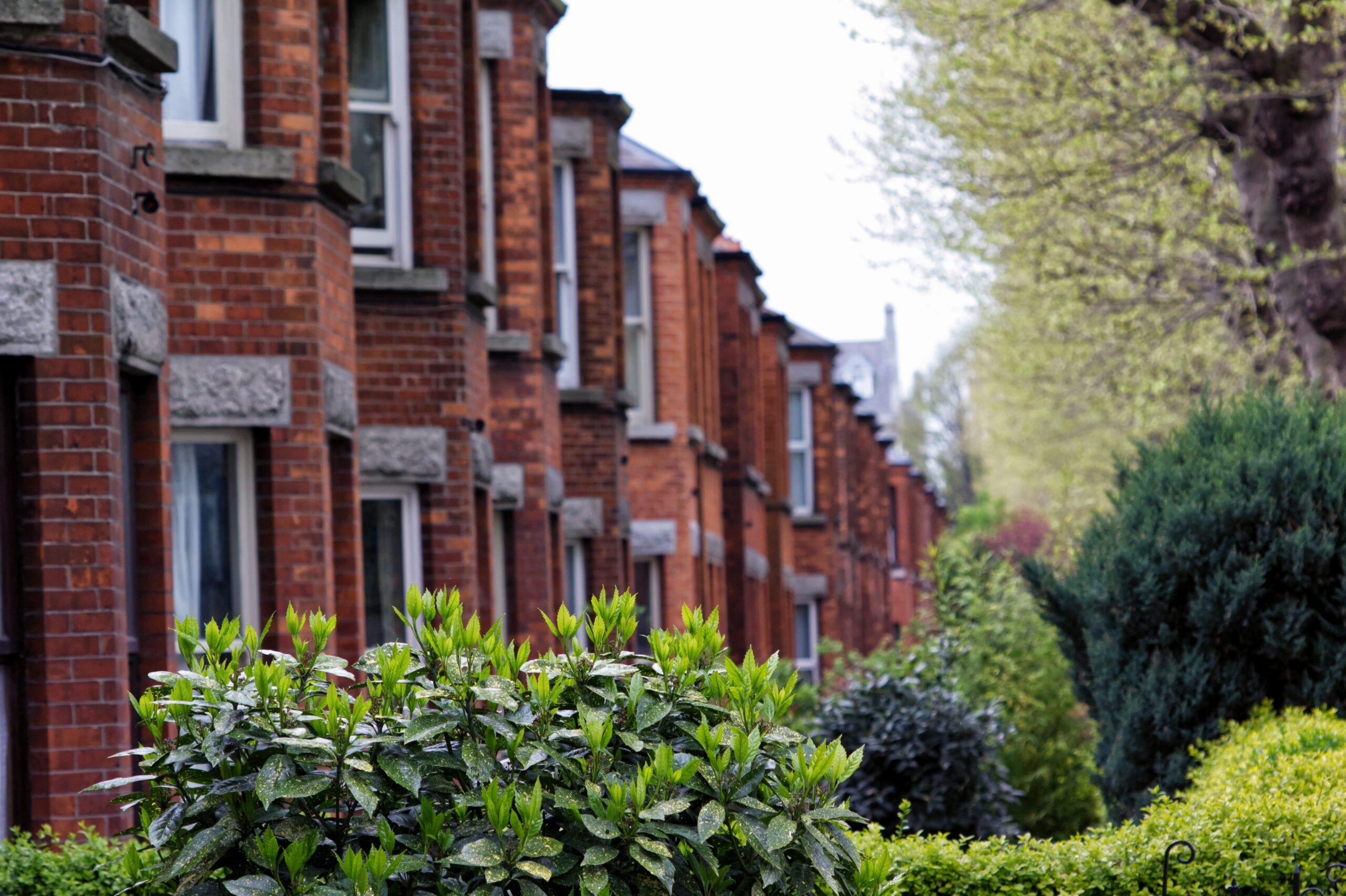 Shojin and Reinvest24 unveil "strategic partnership" - Alternative ...