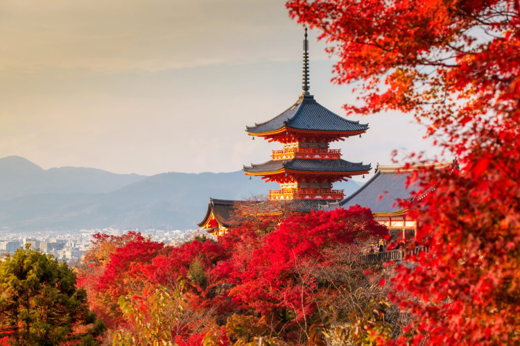 Carlyle joins with SBI to tap Japan's private credit boom - Alternative ...