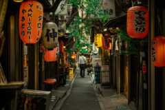 Japan set to attract private credit investors in 2026 - Alternative ...